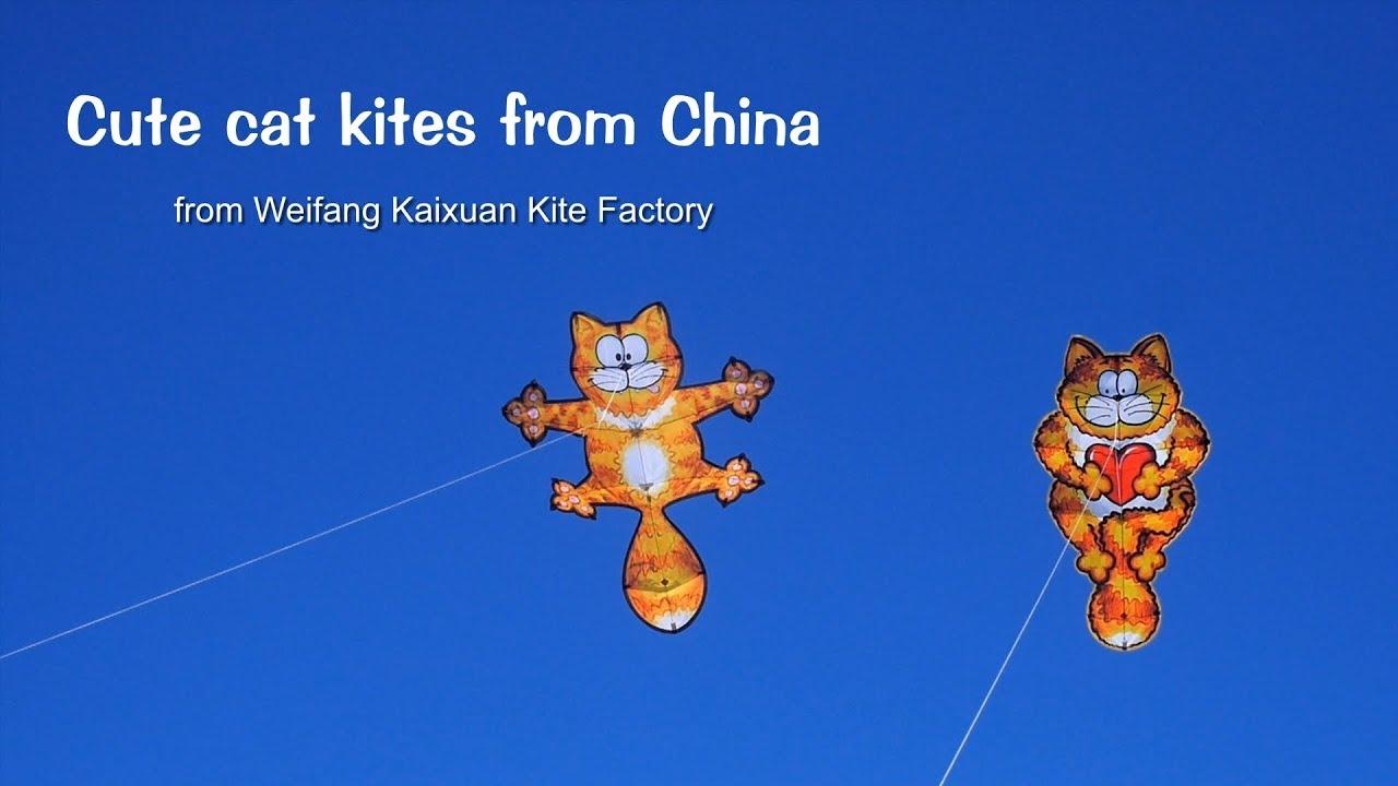 Cute cat kites from China - YouTube