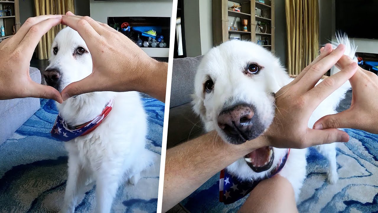 DOG TRIES THE SNOOT CHALLENGE - YouTube