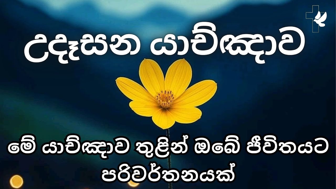 උදෑසන යාච්ඤාව 🔥 || Morning Prayer || 2025 || Trending || යාච්ඤාව ...