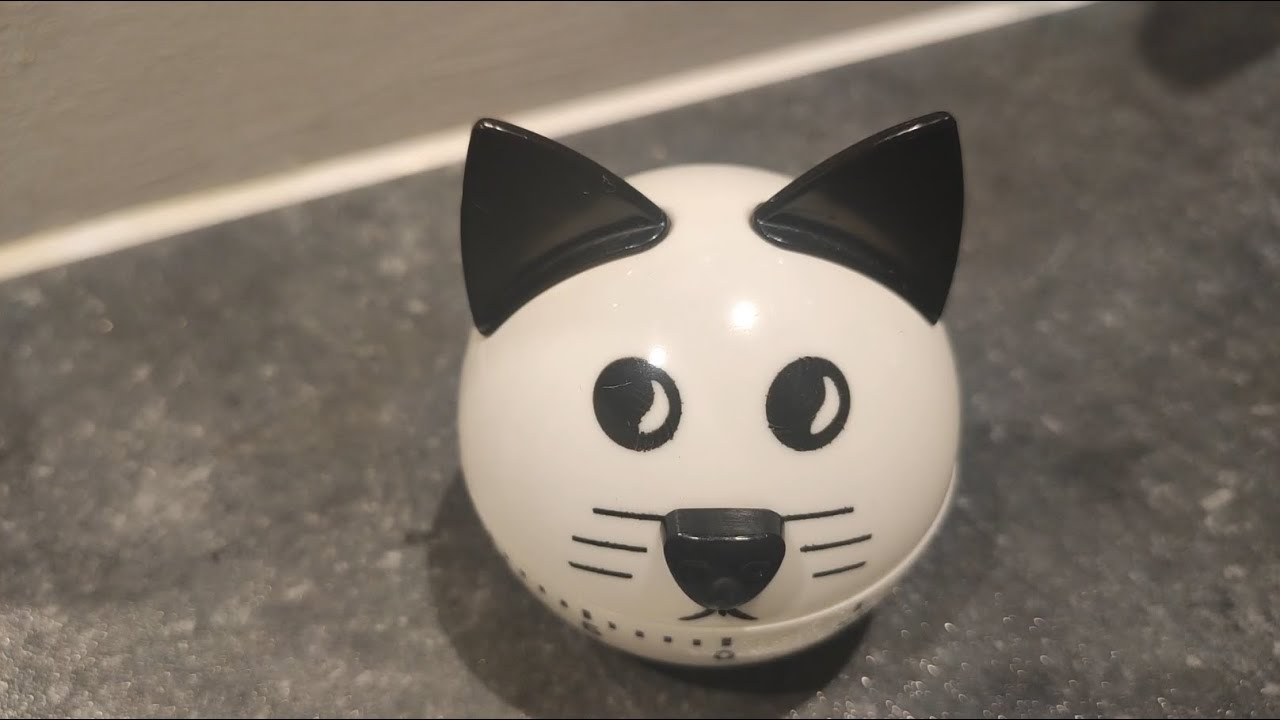 Cute Cat Timer | Countdown | Relaxing | Ticking | Sound | 30 Minutes ...
