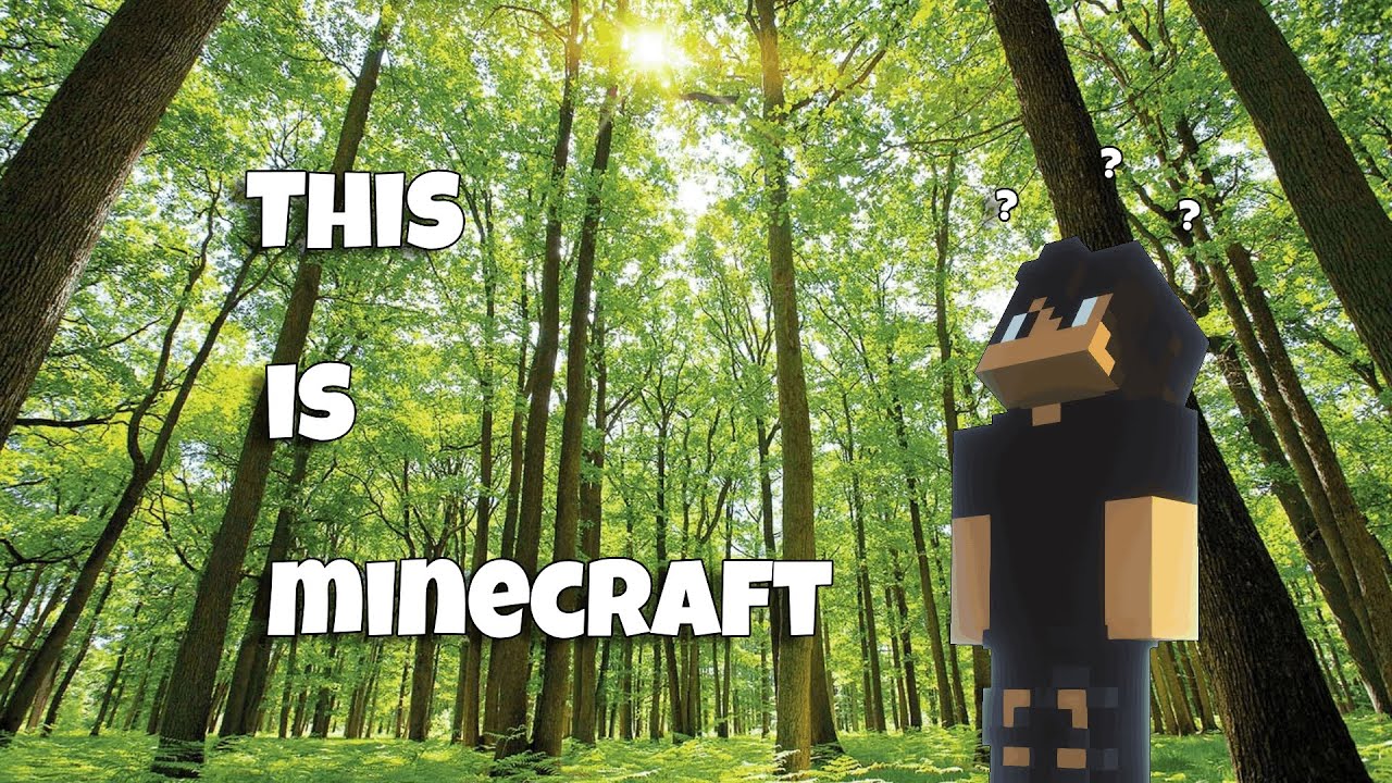 Minecraft, But Its Super Realistic - YouTube