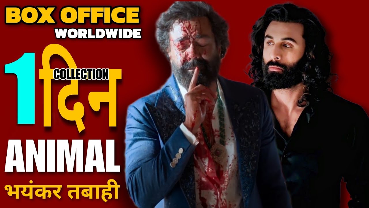 ANIMAL Box Office 1st Day Collection ll Box Office Collection Worldwide ...