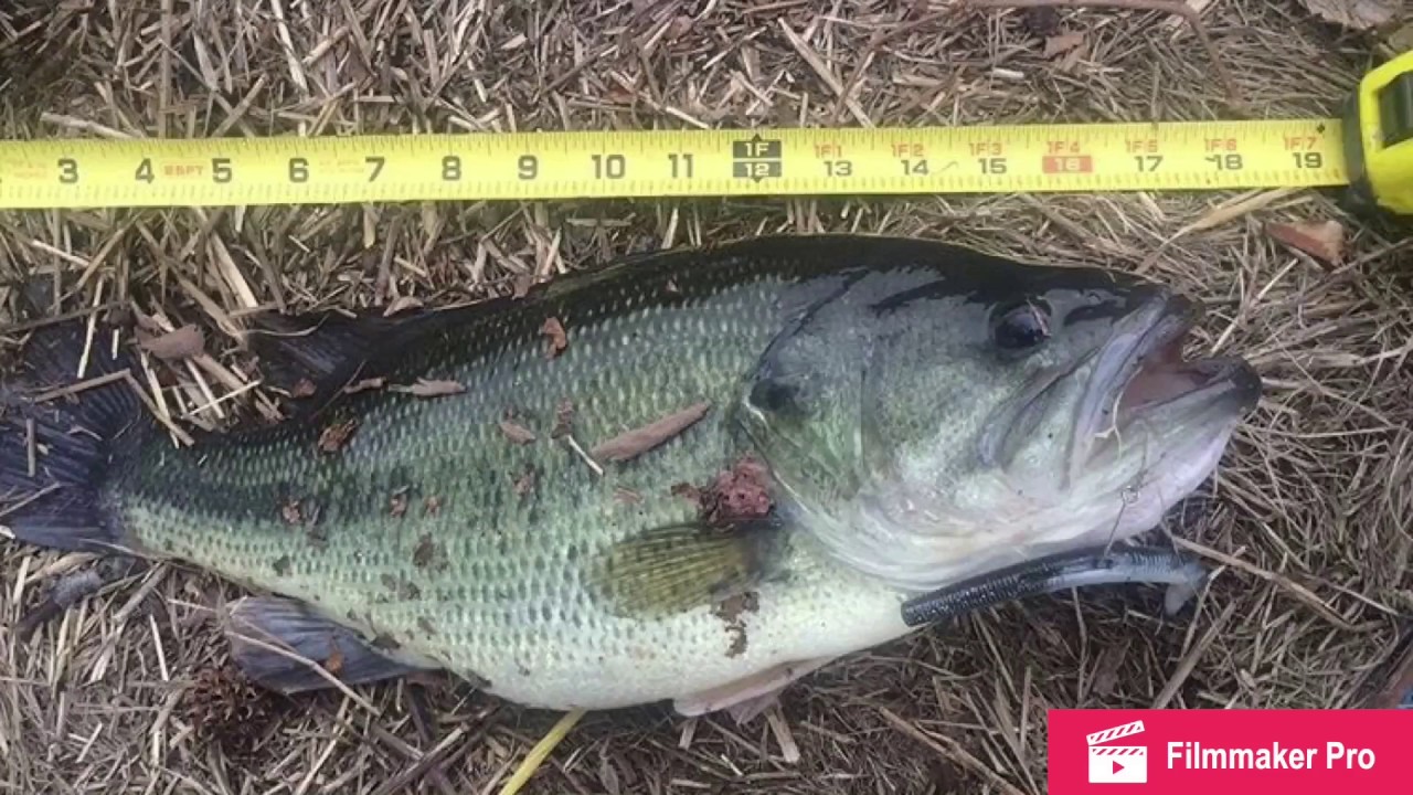 CoRe Fishing Montage🎣🎣 - YouTube