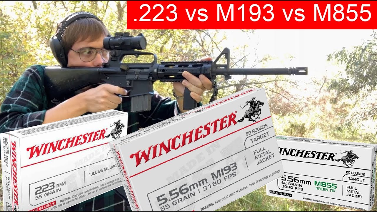 M193 vs M855 vs .223 Rem Pt. 1 (Winchester White Box) - YouTube