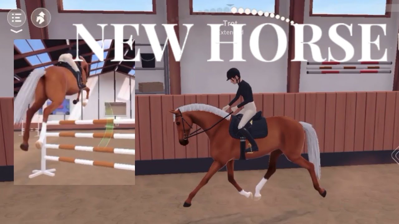 Training with my NEW HORSE || Equestrian the Game - YouTube