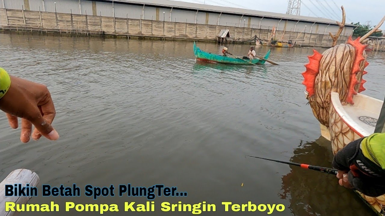 Spot Mancing Belanak Gratis Di Kali Sringin Terboyo Semarang - YouTube