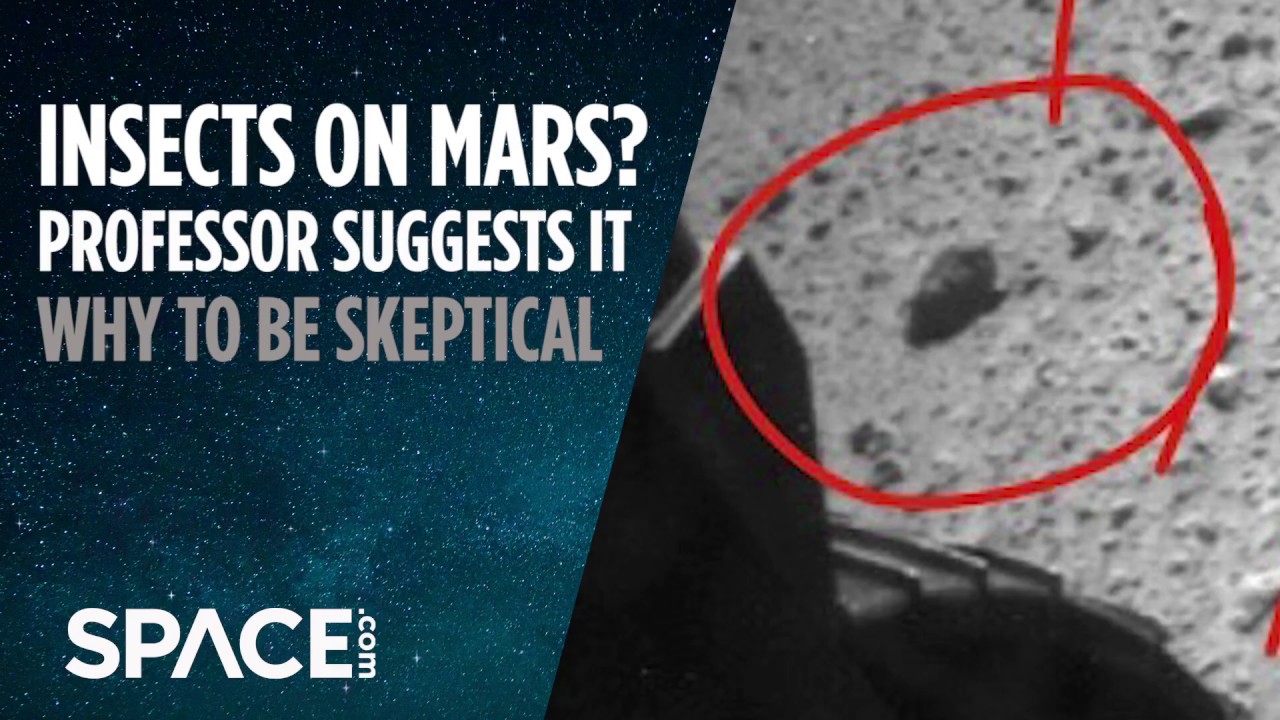 Insects on Mars? Professor Suggests It After Studying Rover Pics - YouTube