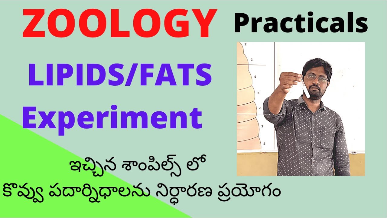 Lipids/Fats Experiment || Inter Zoology Practicals |శాంపిల్స్ లో కొవ్వు ...