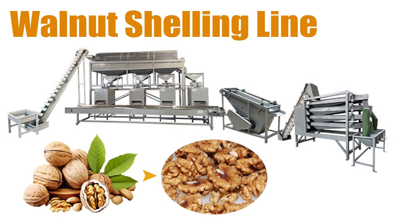 Full Automatic Walnut Shelling Line Demonstration | Efficient Walnut ...