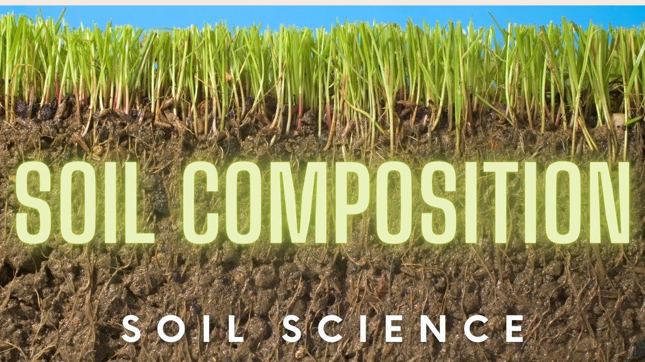 What Is Soil Made of? - YouTube