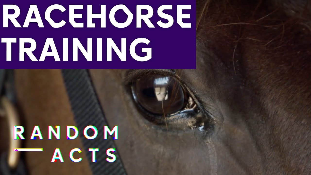 Behind horse racing | First by Alejandro Ahedo Perez | Documentary ...