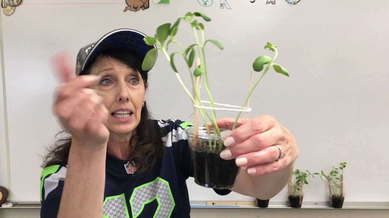 Science Lesson - Monday - May 18th - YouTube