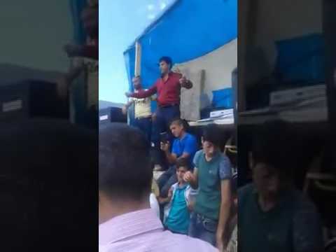 şemşi sahin pehlivanlar köyü  SENLİK CIRKINA