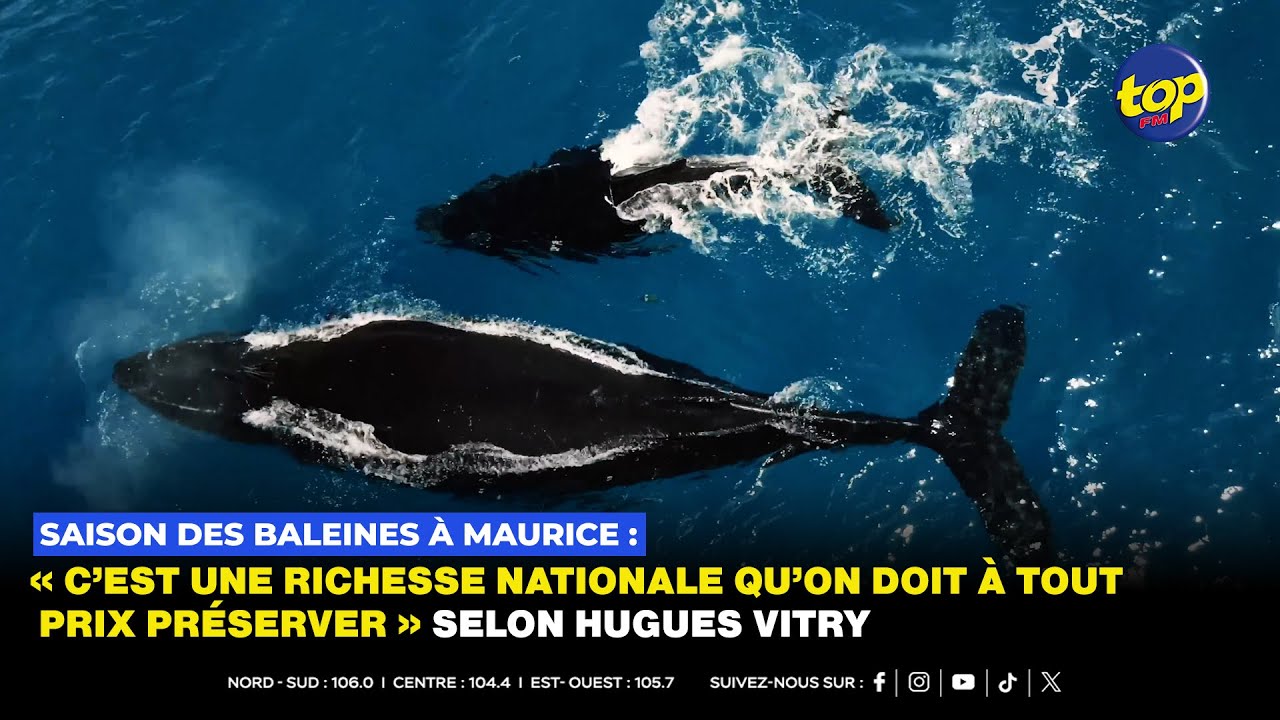 « C’est une richesse nationale qu’on doit à tout prix préserver »selon ...