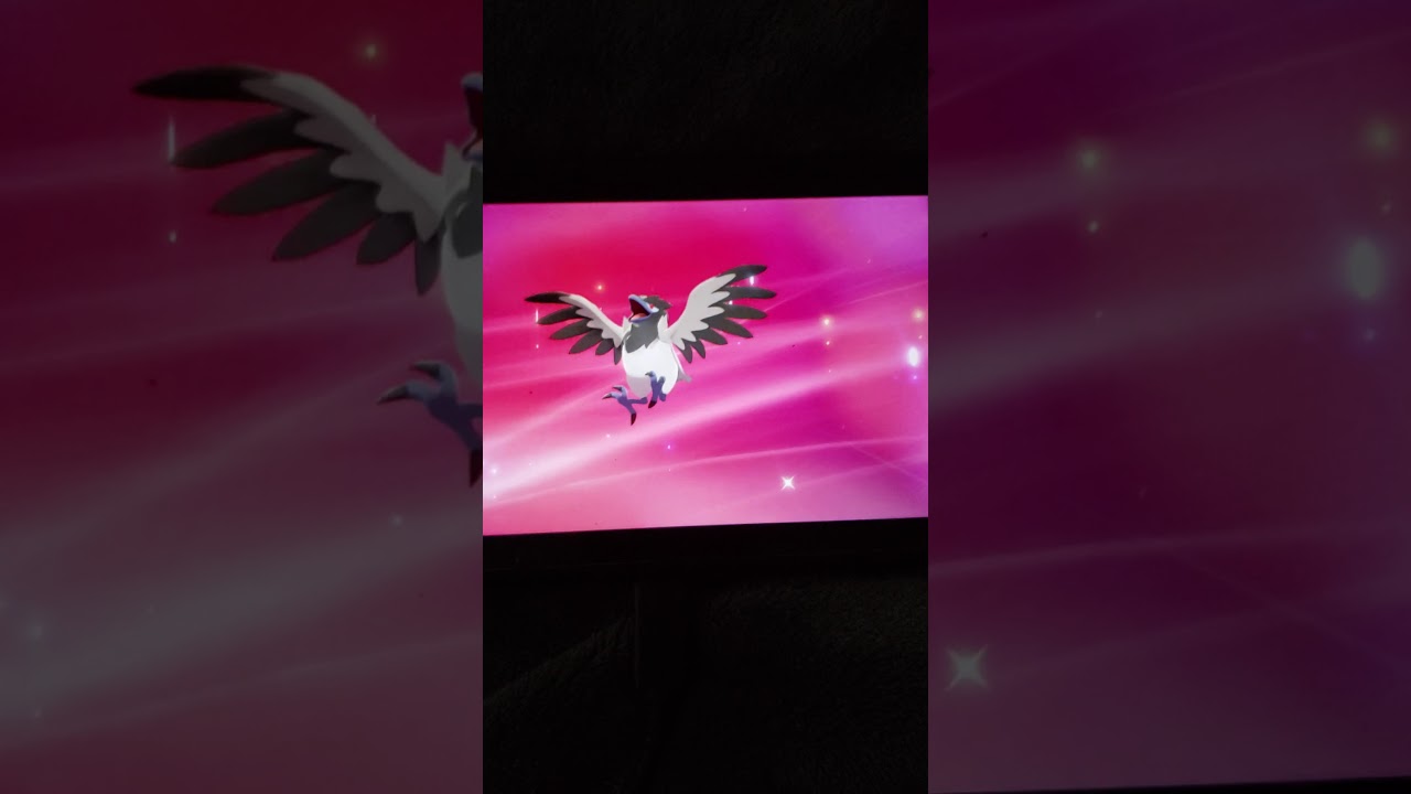 Pokemon Sword and Shield. Evolving my shiny Rookidee - YouTube