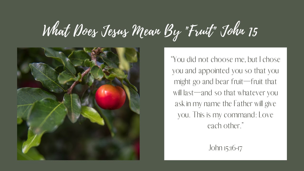 What Does Jesus Mean by "Fruit" in John 15? - YouTube
