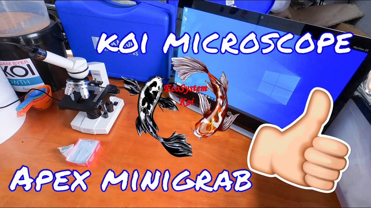 APEX Minigrab camera for Microscope ,does it work? Brunnel Microscope ...