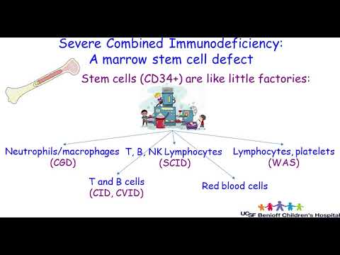 Diagnosis Specific: Severe Combined Immunodeficiency: Where Are We and Where Are We Going?