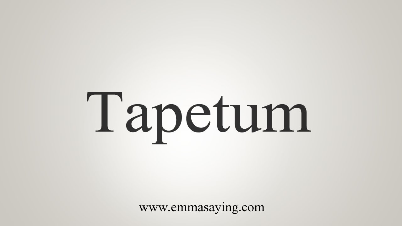 How To Say Tapetum - YouTube