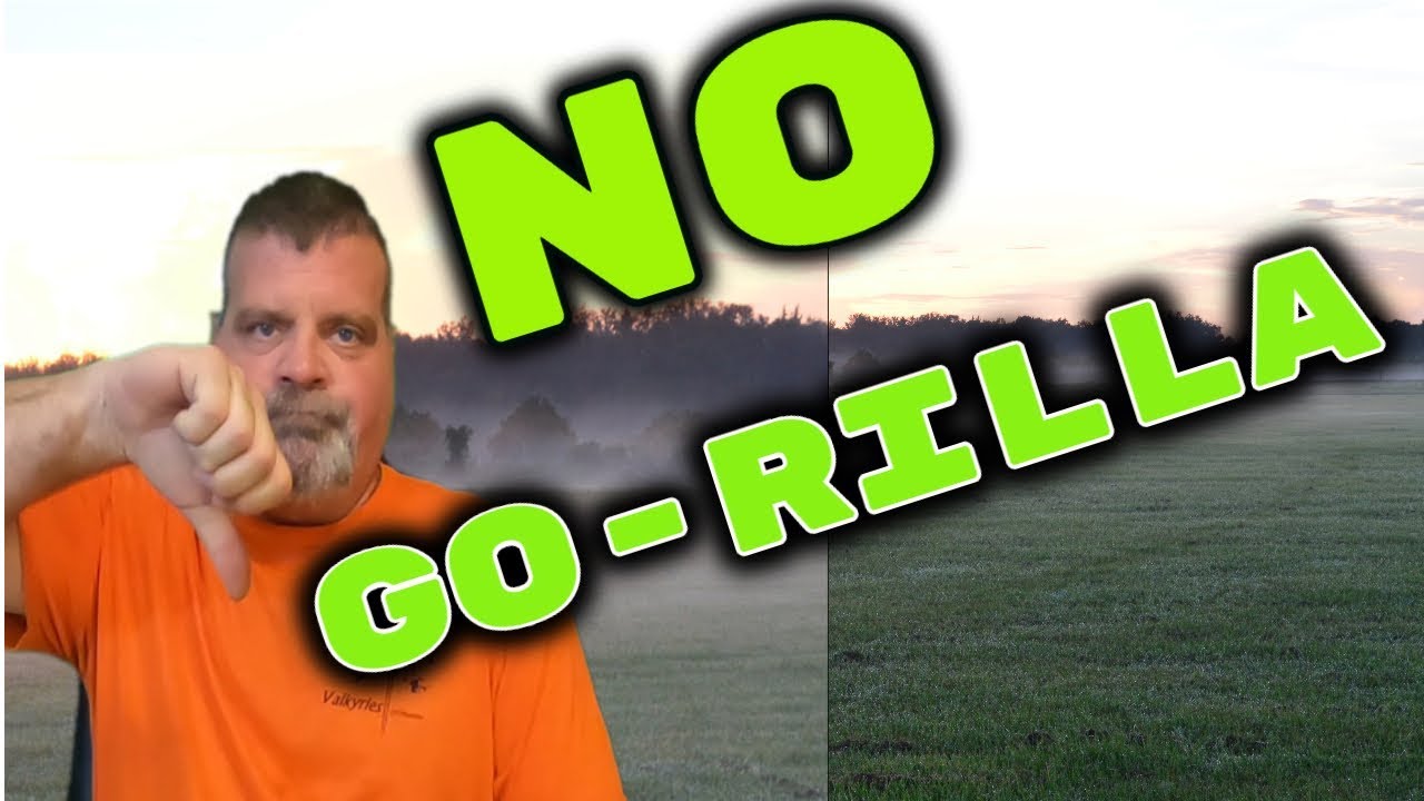 GO vs NO GO, My process - YouTube