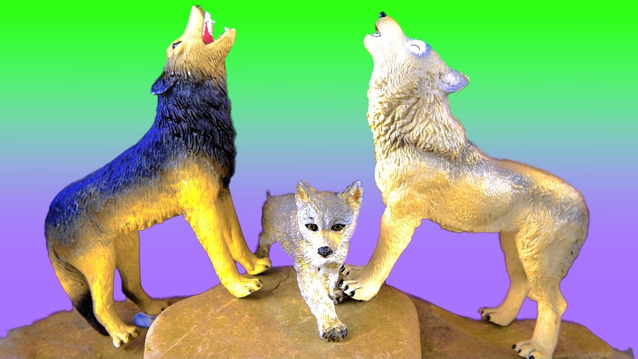 Wild Animals, Wolves, Wolf, Zoo Animals -Jungle Book - Kids Educational ...