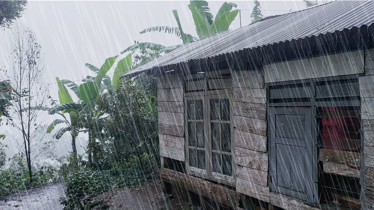 Walking under umbrella on a heavy rainy day in the countryside, heavy ...