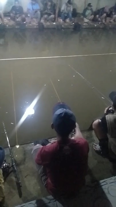 full lapak mancing ikan mas - YouTube