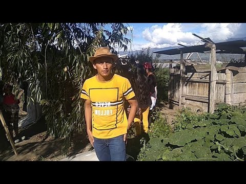 Preparación de una delisiosa Colada de "CAPULI" - YouTube