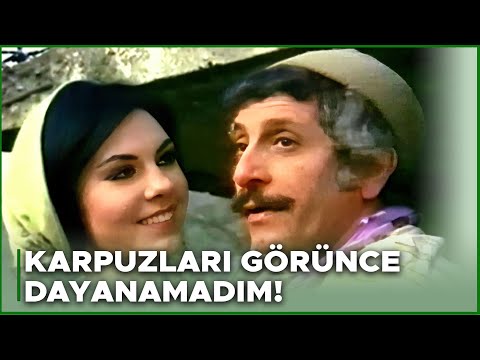Cafer'in Nargilesi - Türk Filmi l Cafer Karpuzları Yokluyor