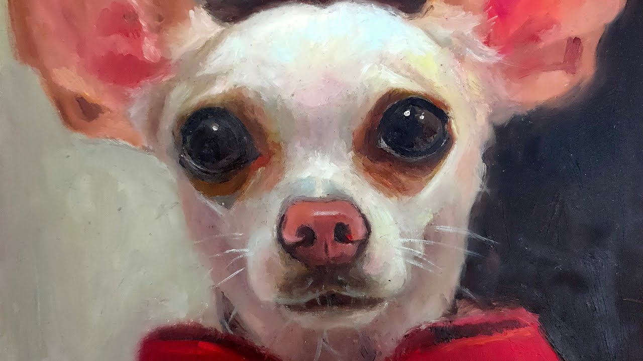 Chivava Dog Speed Painting (Oil Painting Timelapse ) - YouTube