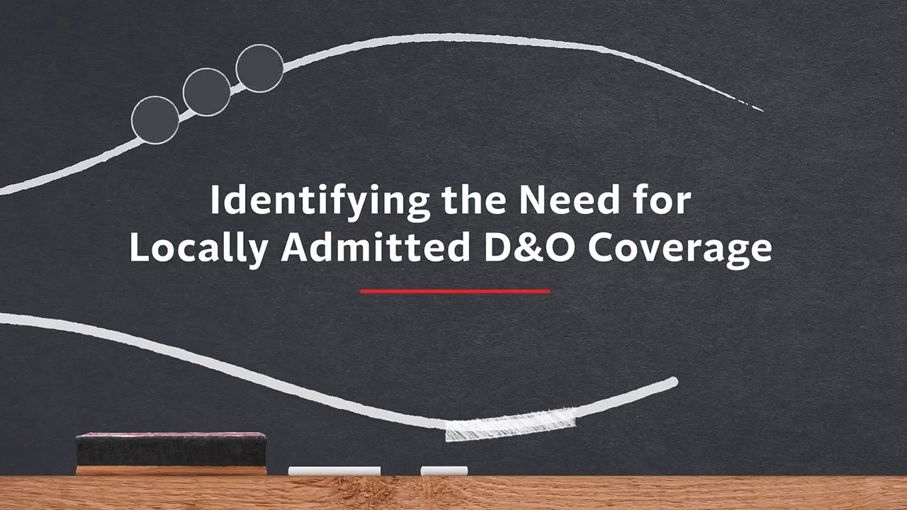 A World of Knowledge: Identifying the Need for Locally Admitted D&O ...