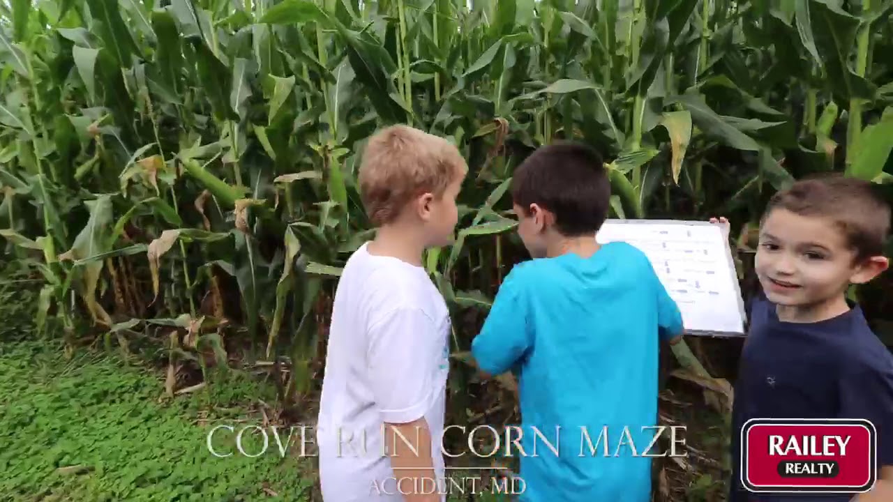 Cove Run Farm Corn Maze | 2019 | Deep Creek Lake, MD - YouTube