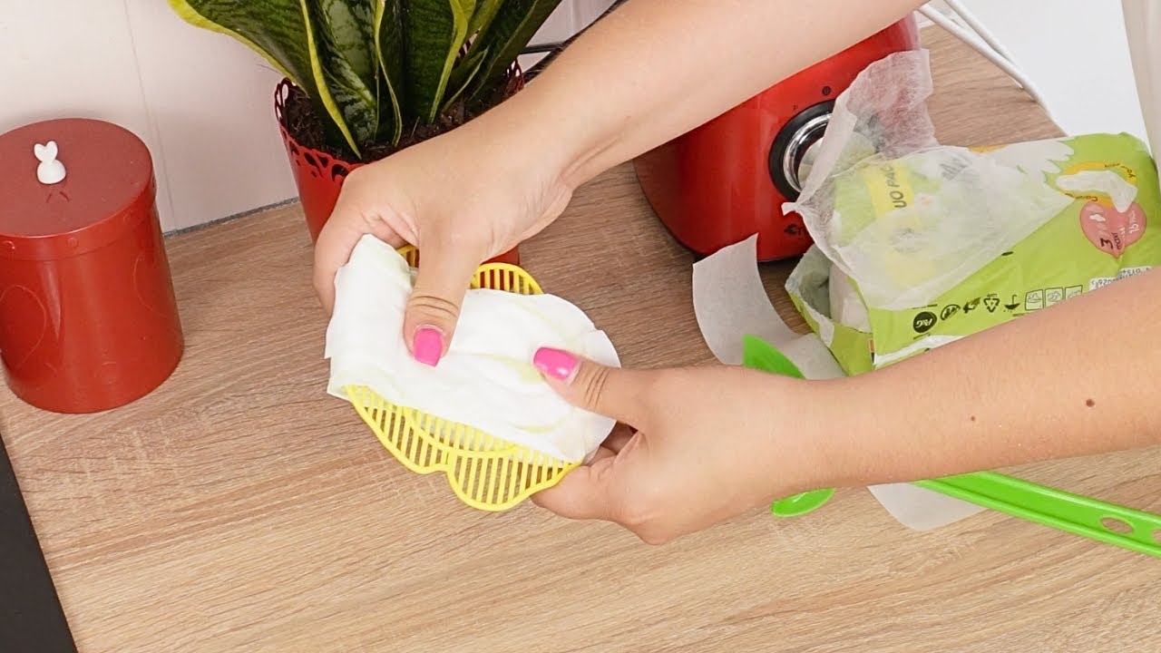 Stick a Pad to Your Fly Trap—You Won't Believe These Surprising Uses ...