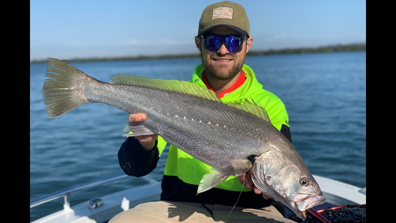 MORETON BAY JEWFISH & SNAPPER - YouTube
