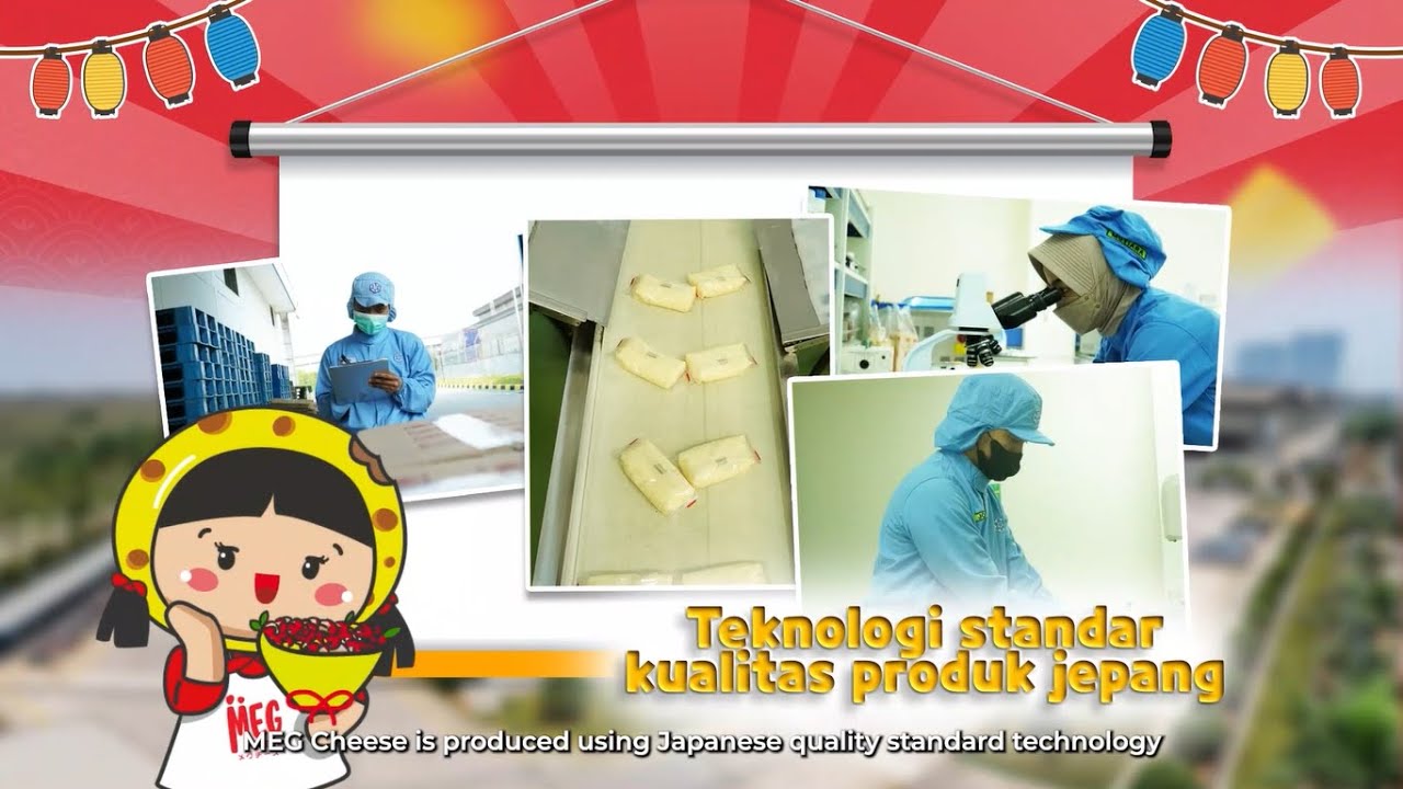 Proses Produksi Keju MEG Cheese di Indonesia - YouTube