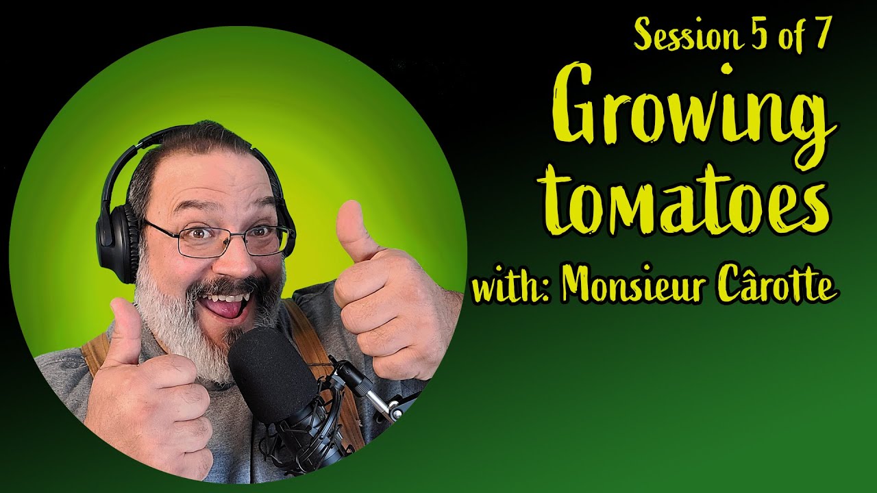 Growing Tomatoes Youtube