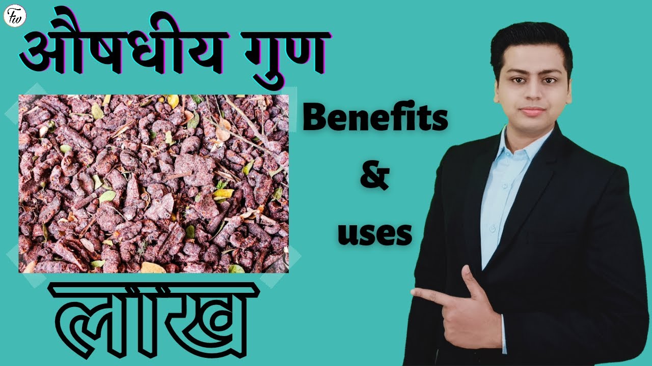 shellac | lac culture | Laccifer lacca | kerria lacca | shell lac use # ...