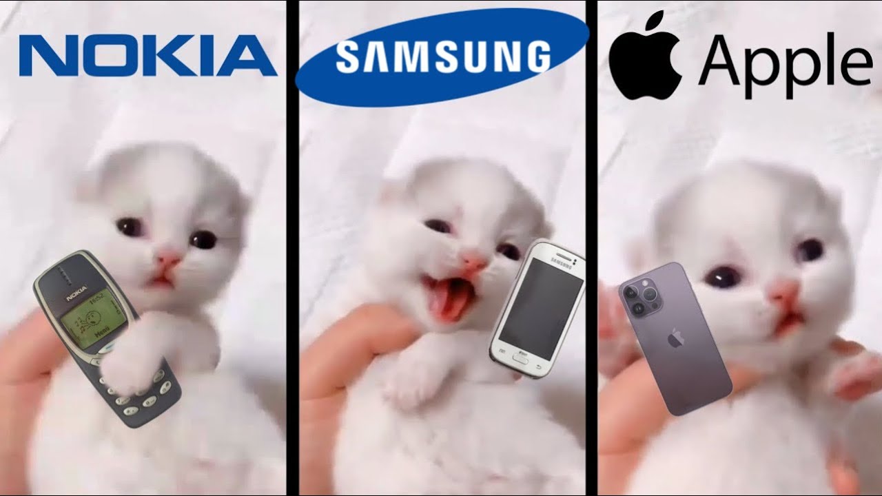 Cute Cat Meowing but popular phone ringtones - YouTube