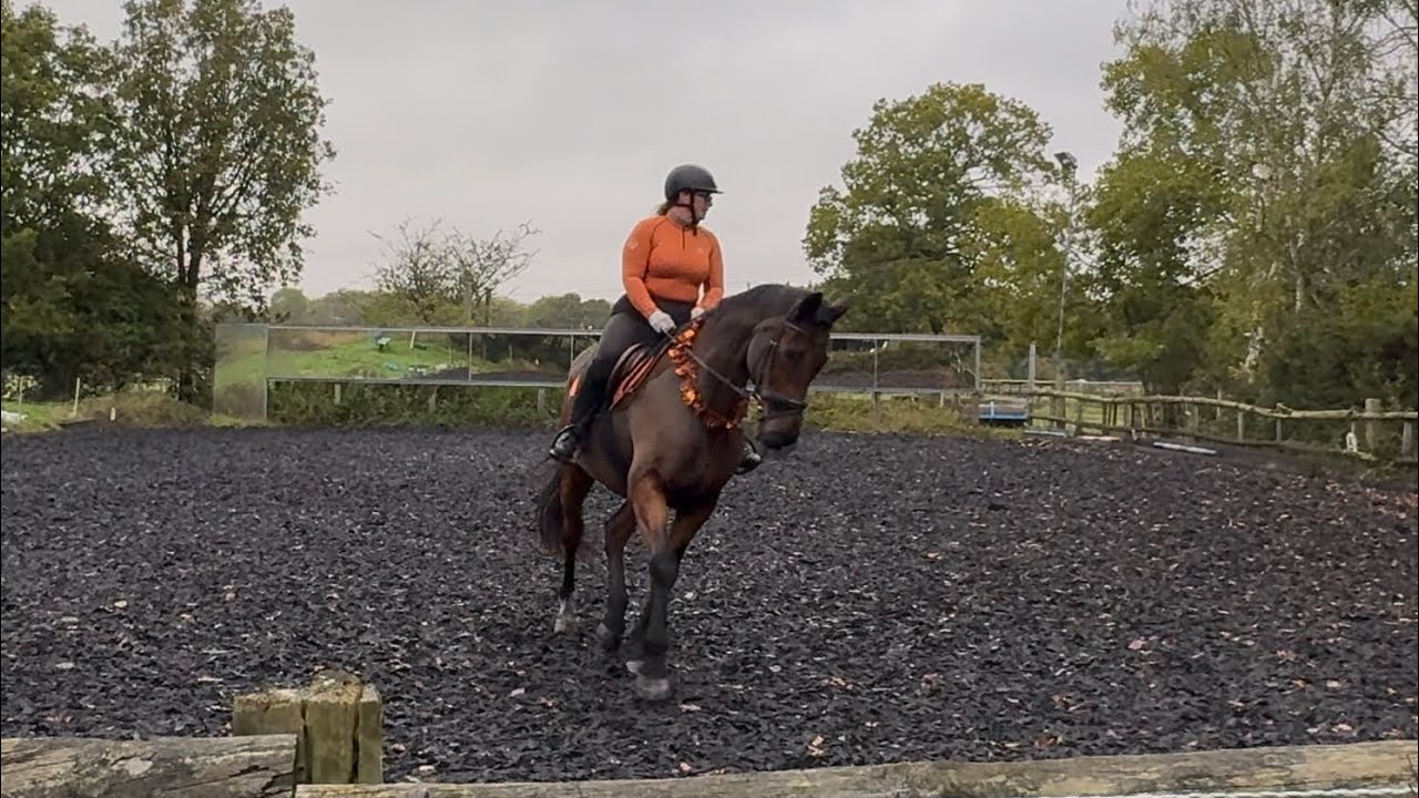 Class 3, Novice 27, Terri Yates & Dijon - YouTube