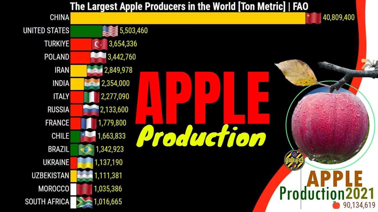 THE LARGEST APPLE PRODUCERS IN THE WORLD, EUROPE, ASIA, AMERICA'S ...