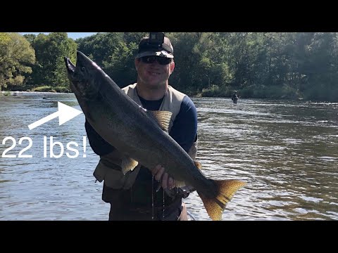 Douglaston Salmon Run, NY And The Hardest Fighting Fish I've Ever ...