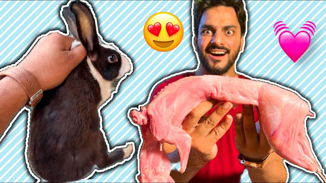 Alhamdulillah Khargosh🐇Zibah kar k Roast bna lia 😍| Mishkat khan | The ...