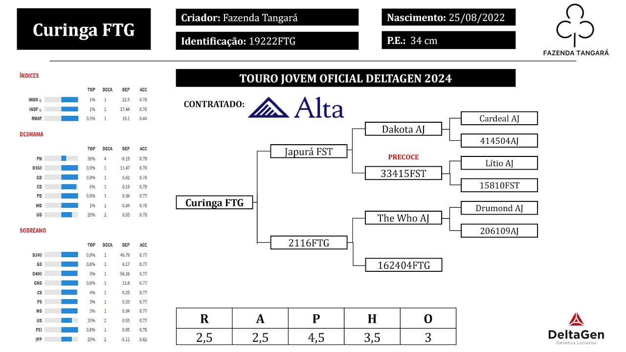 15 - CURINGA FTG - YouTube