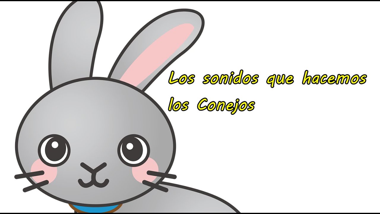 Sonido del conejo . rabbit sound - YouTube