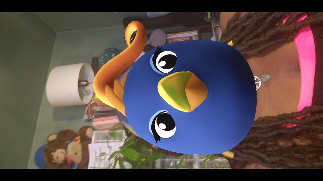 Meet my Bird - YouTube