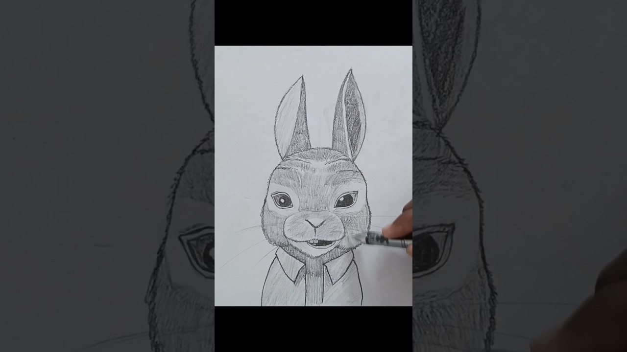 How to Draw Peter Rabbit #shorts - YouTube