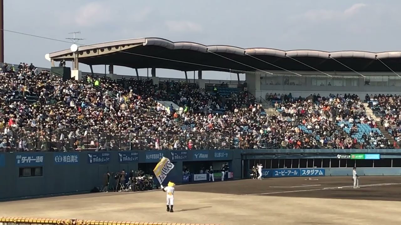 Harry Hawk (ハリーホーク), the Mascot of Fukuoka SoftBank Hawks is dancing ...
