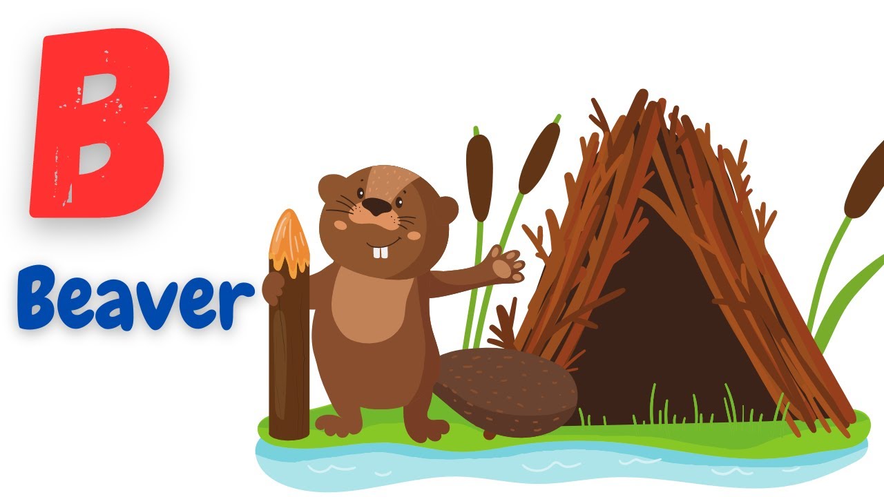 A for Ant B for Beaver C for Cat | ABCD for Kids | Alphabet phonics for ...