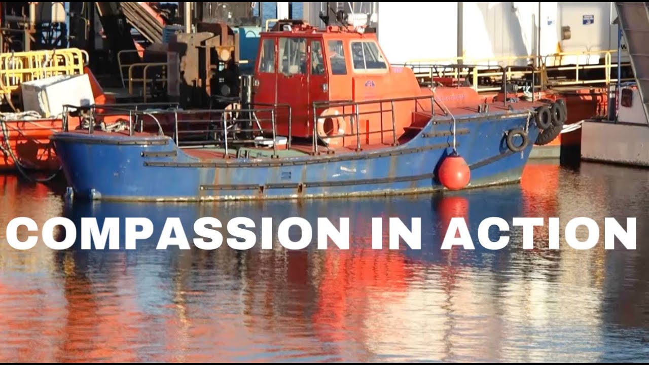 COMPASSION IN ACTION (Documentary Directed by Sashi Tandon) - YouTube
