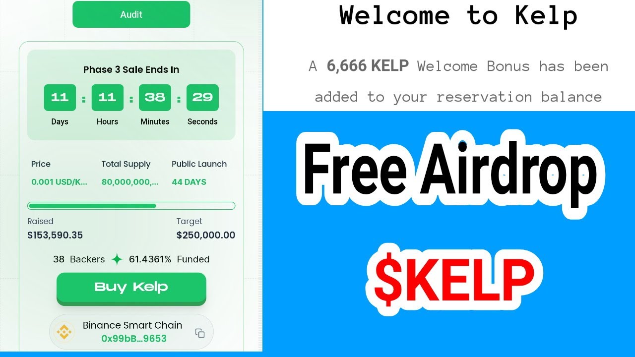 Kelp Finance | Free Airdrop 6,666 Coin Kelp For Everyone - YouTube